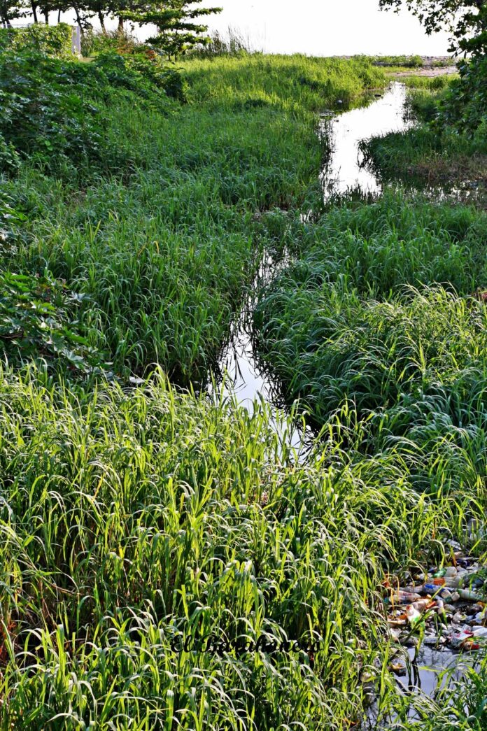 El emblemático río Birán puede impulsar el desarrollo en Barahona ...